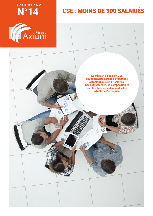 CSE Moins de 300 Salariés : Guide Complet